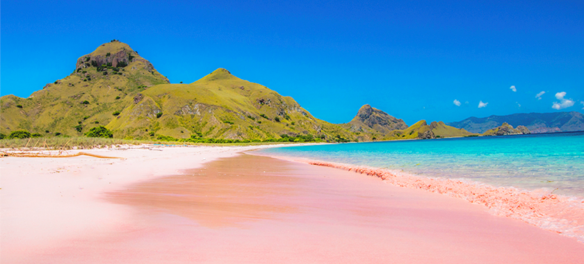 11 incríveis praias de areia rosa pelo mundo - Blog SR Siape